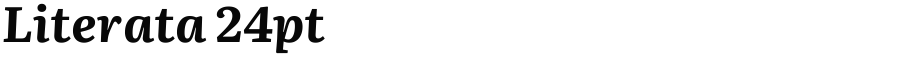 Literata 24pt - 字阁网